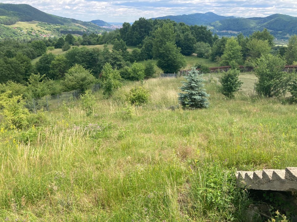 Teren Alexandru Cel Bun - teren constructii de vanzare in Piatra-Neamţ ...