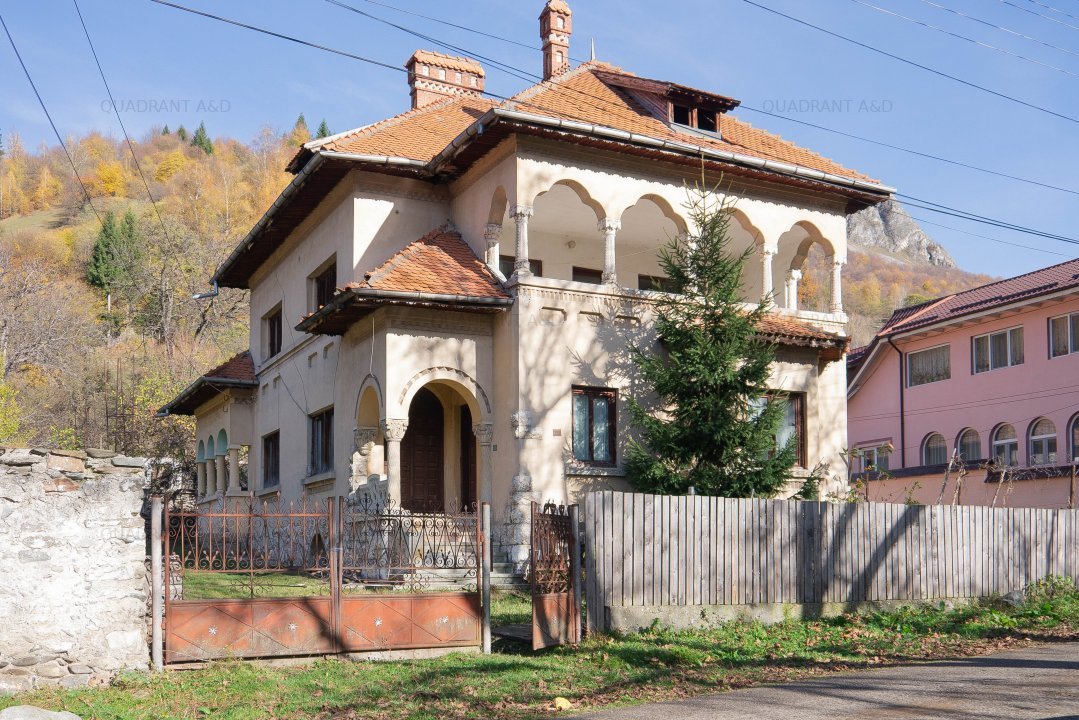 Conac in stil Brancovenesc - casa/vila cu 10 camere de vanzare in ...
