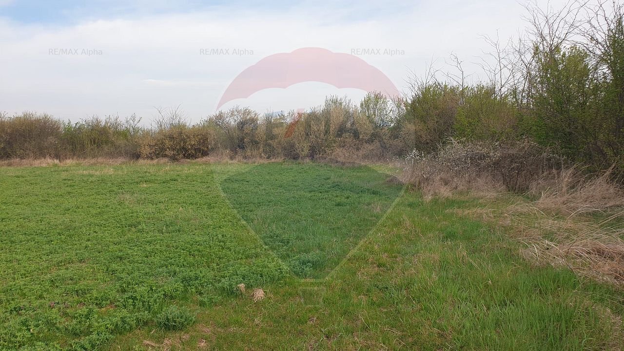 Teren agricol de vanzare in Peris, Central in Periş