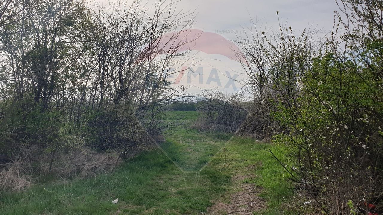 Teren agricol de vanzare in Peris, Central in Periş
