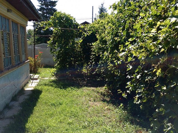 Vand casa 5 camere Comuna Jilava - PROPRIETAR - casa/vila cu 5 camere ...