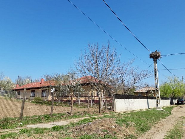 Vand Casa curte, Comuna Manastirea, Sat Coconi - casa/vila cu 7 camere ...